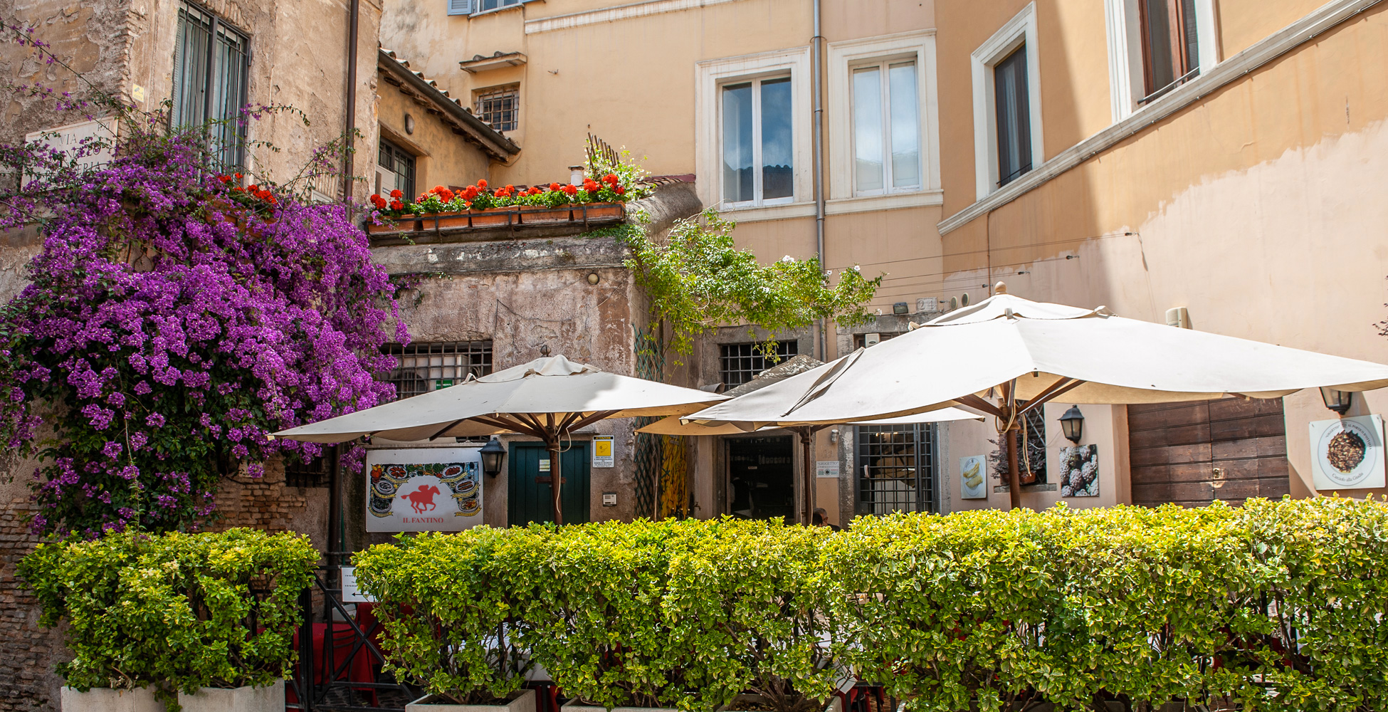 Ristorante Il Fantino | Trattoria Il Fantino | Cucina Romana